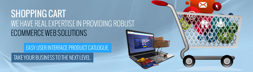 Shopping Cart Development Company Delhi, Custom Shopping Cart India